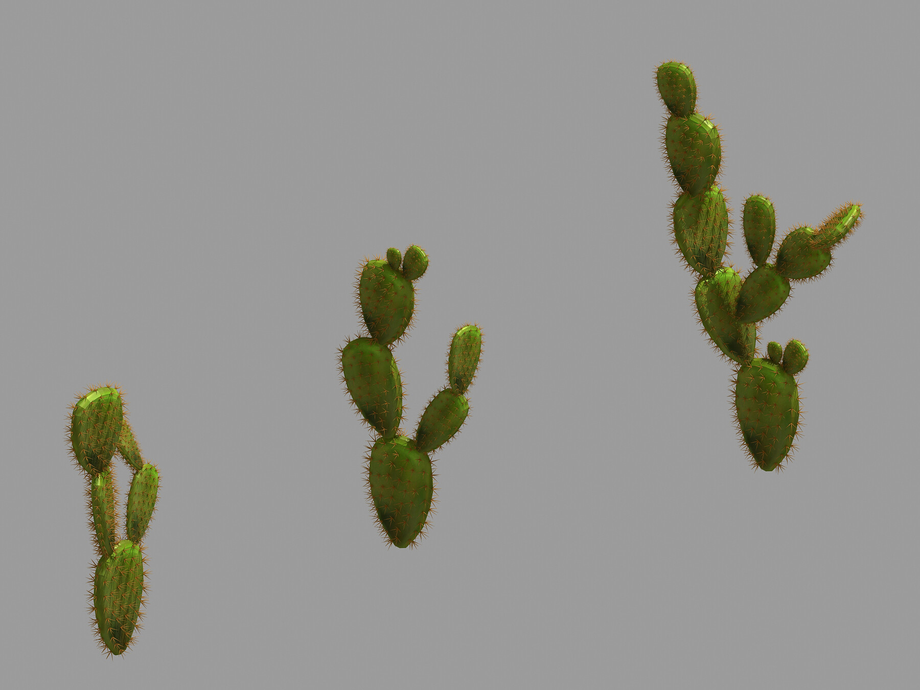 ArtStation - Desert Plant - Cactus 06 | Game Assets