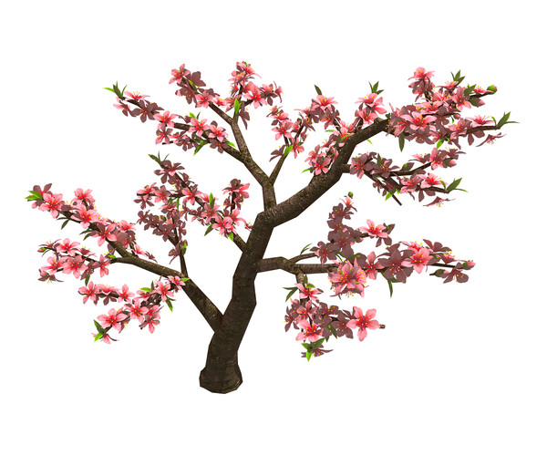 ArtStation - Trees - Peach Trees 23 | Game Assets