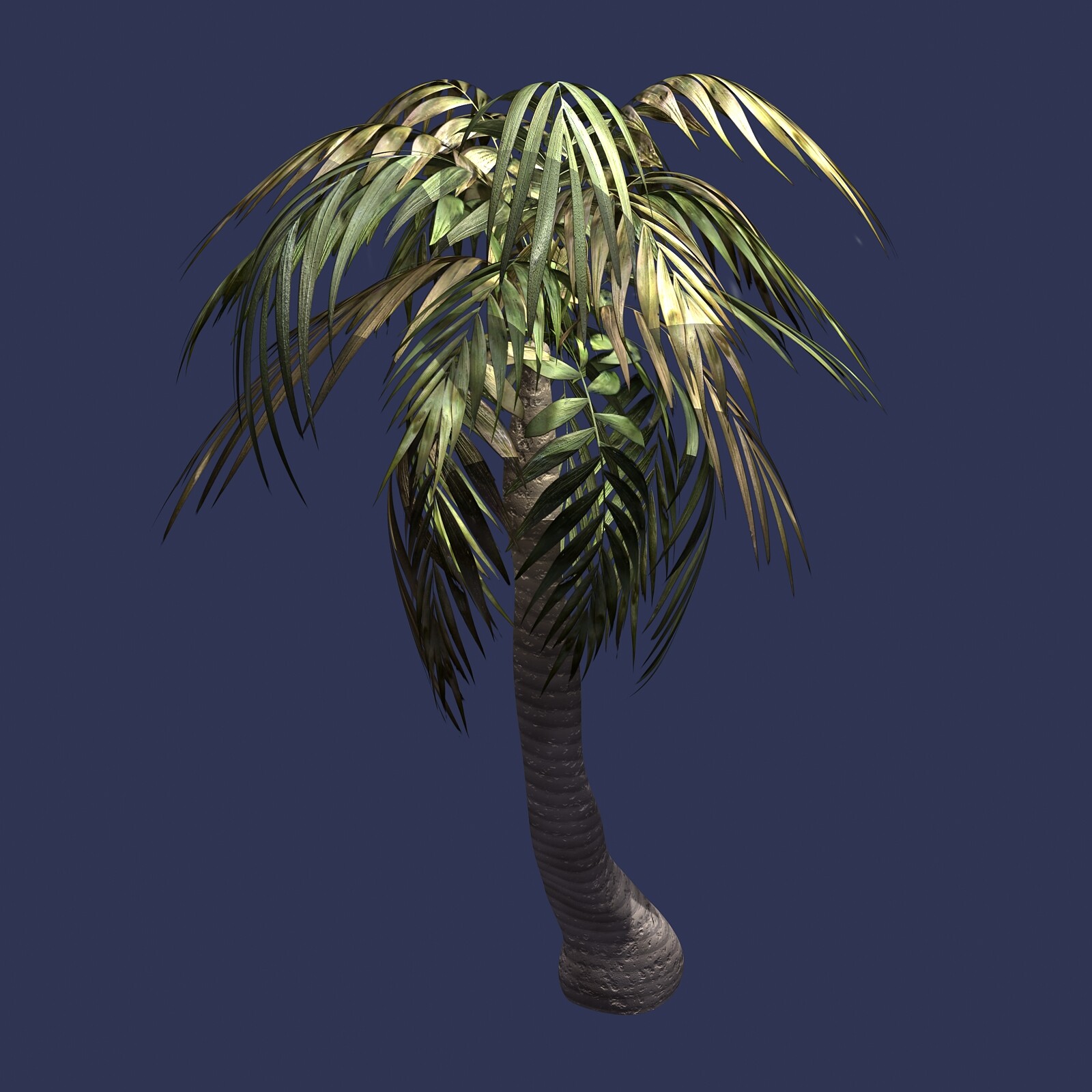 ArtStation - Plant - Palm Tree | Game Assets