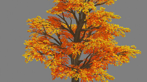 ArtStation - Plant - Birch Tree 09 | Game Assets