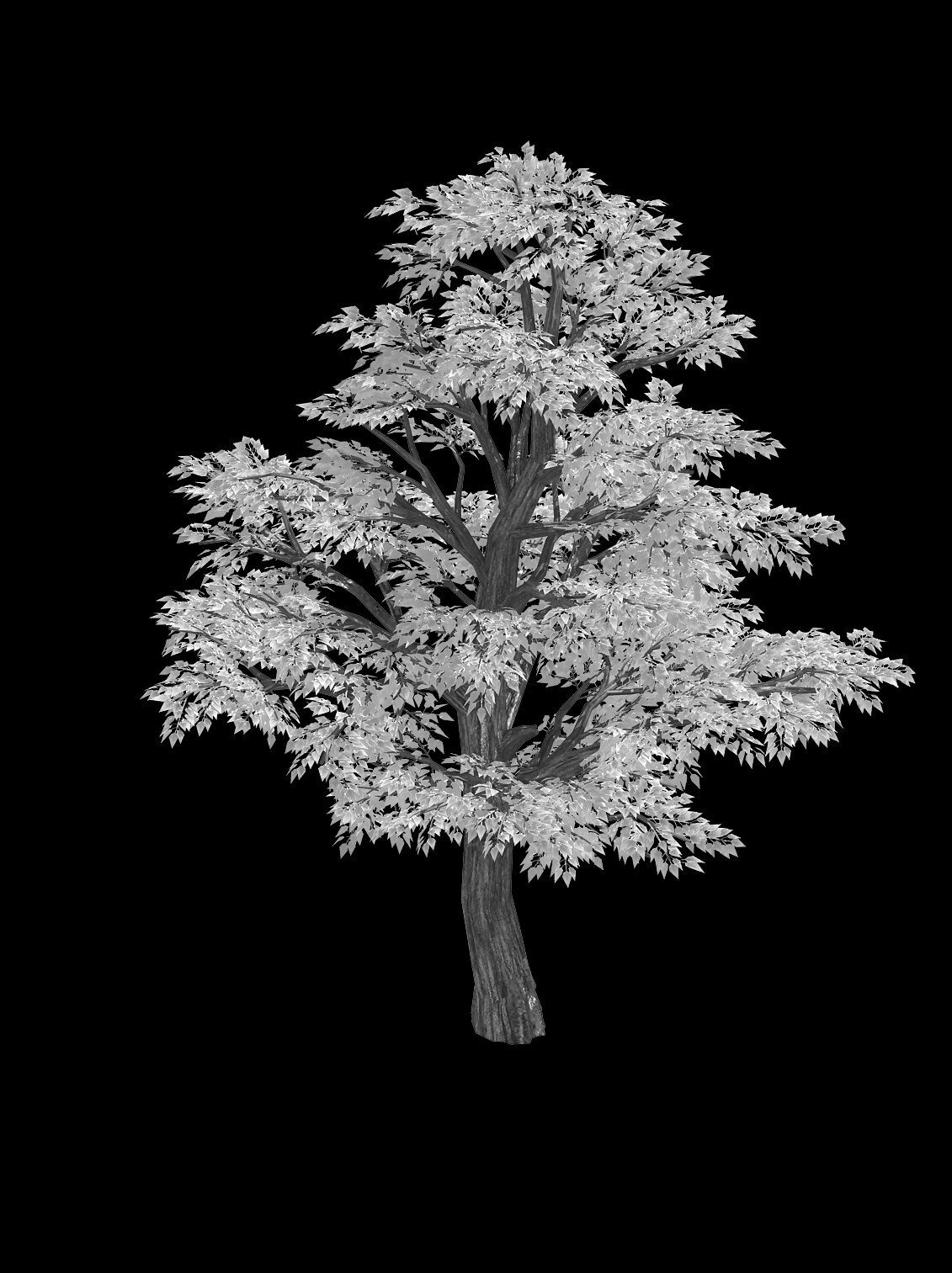 ArtStation - Plant - Birch Tree 09 | Game Assets