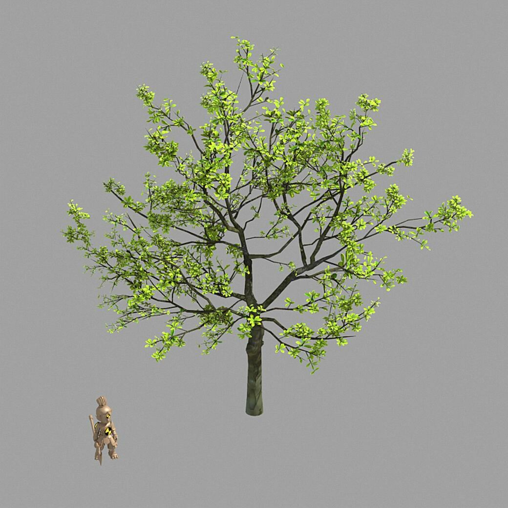 ArtStation - Plant - Green - Tree 03 | Game Assets