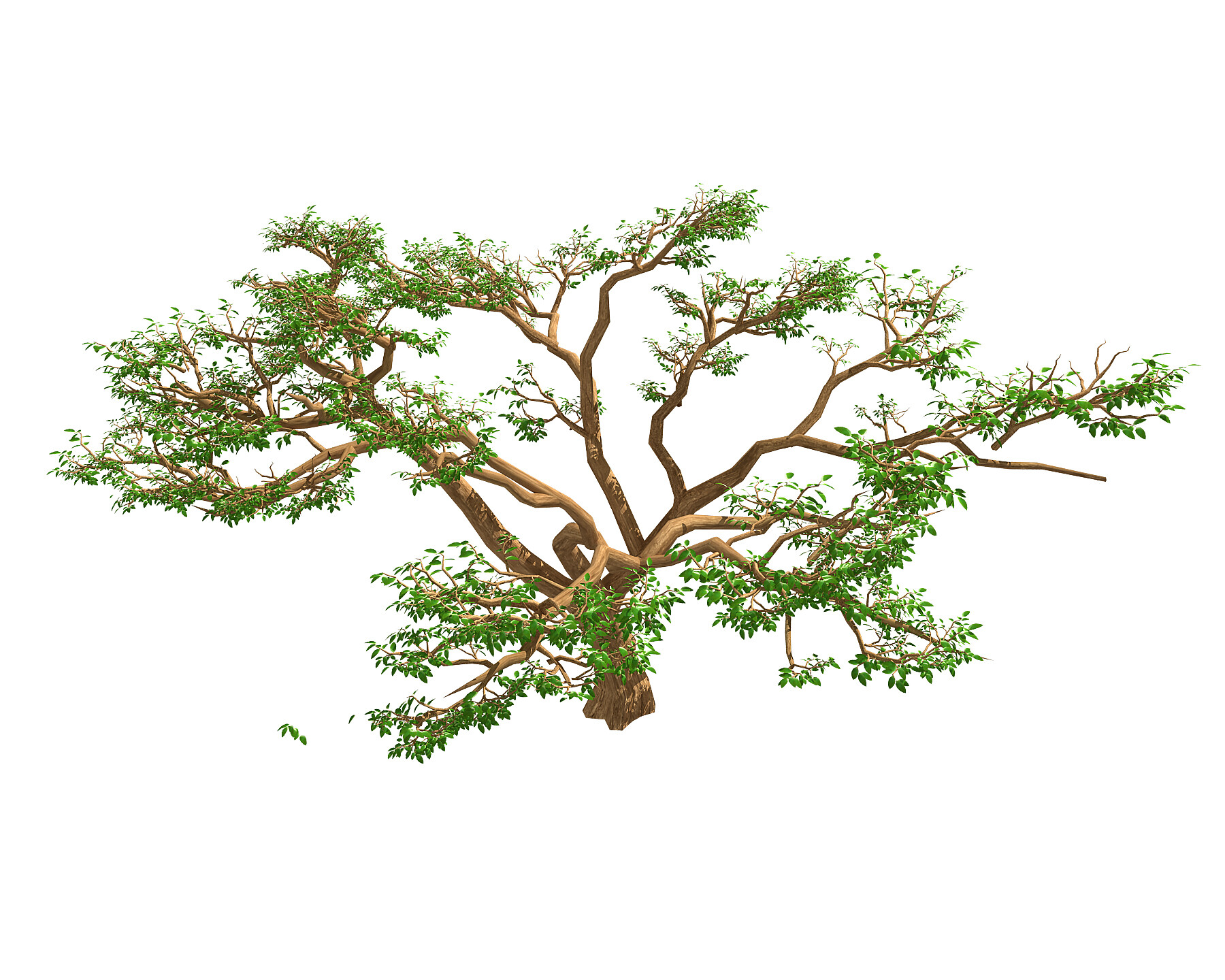 ArtStation - Plant - Green - Tree 04 | Game Assets