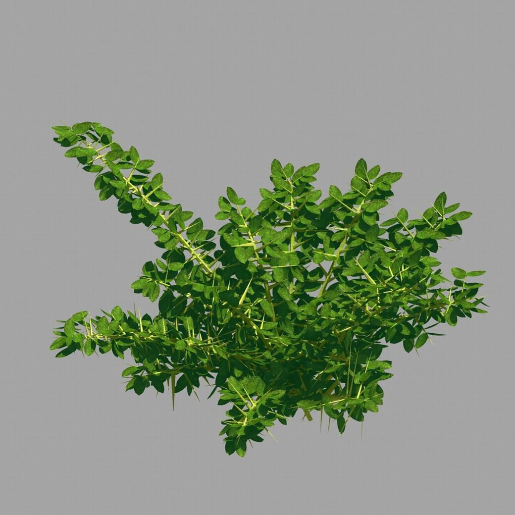 ArtStation - Plant - Weed 036 | Game Assets