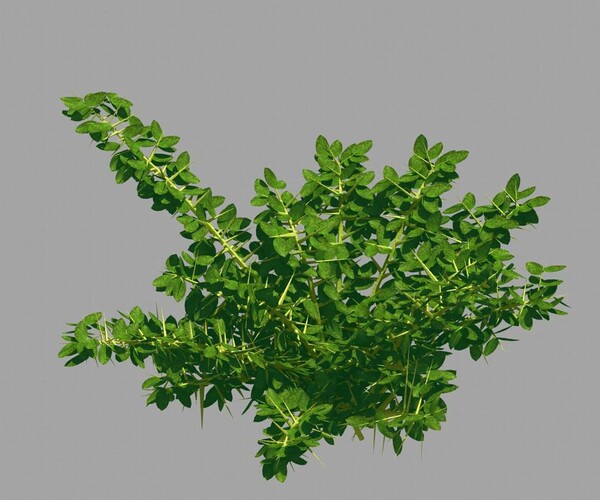 ArtStation - Plant - Weed 036 | Game Assets