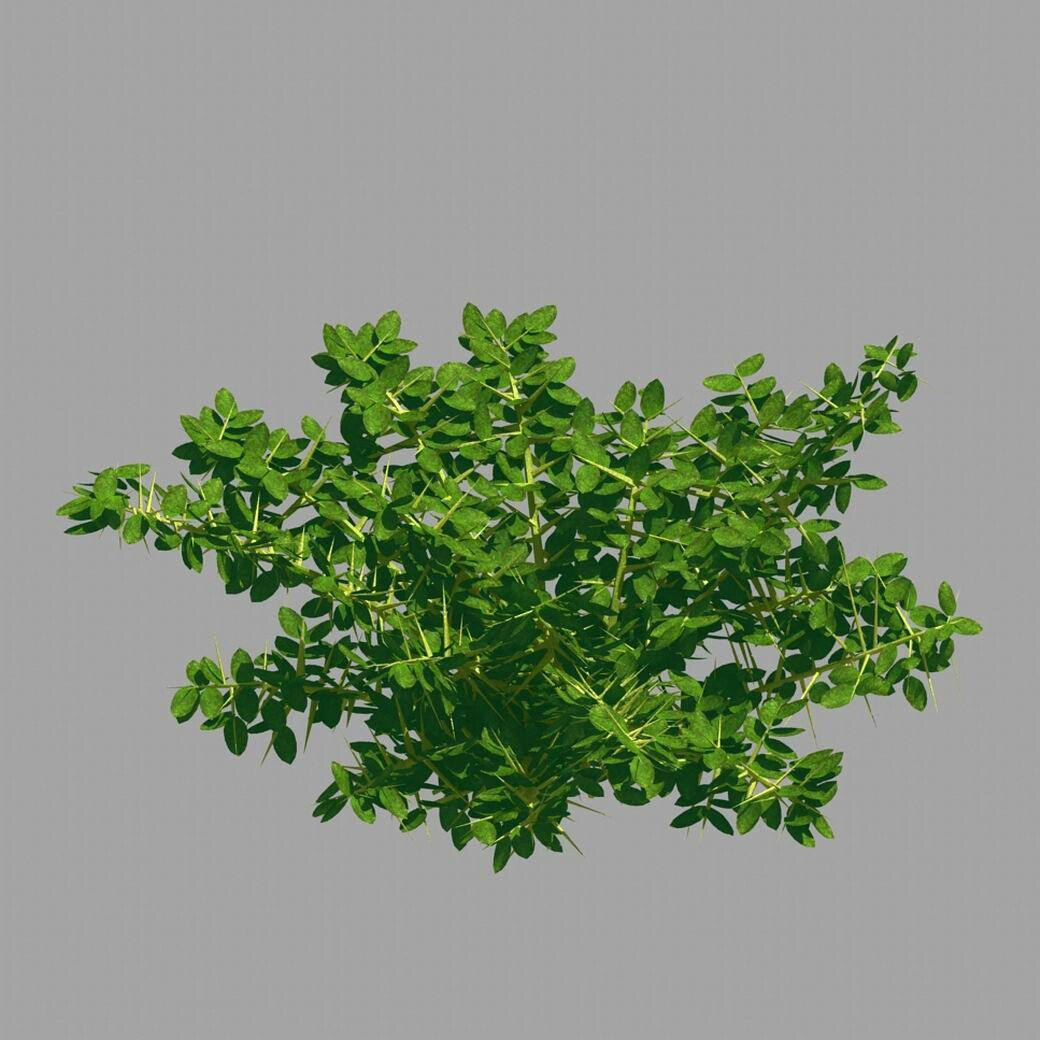 ArtStation - Plant - Weed 036 | Game Assets