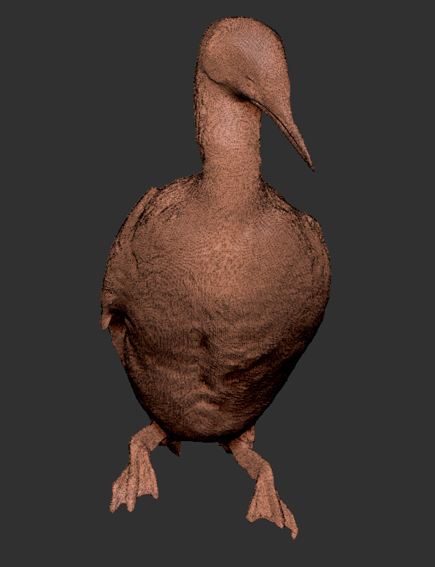 ArtStation - Common loon 08 | Game Assets