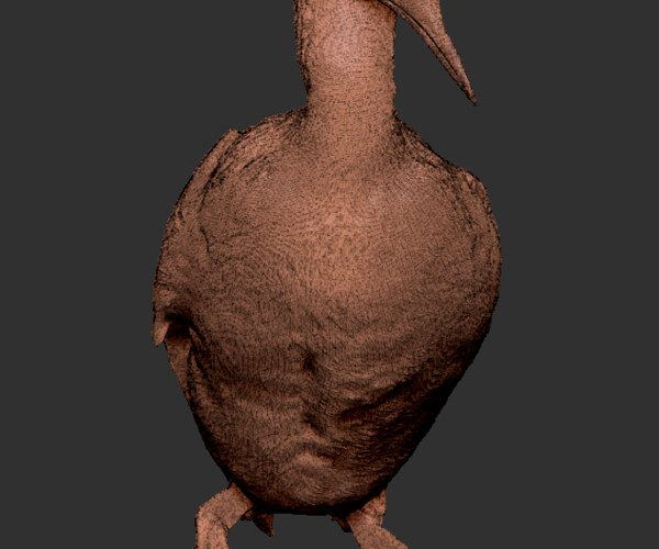 ArtStation - Common loon 08 | Game Assets