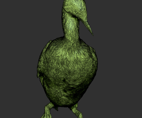 ArtStation - Common loon 08 | Game Assets