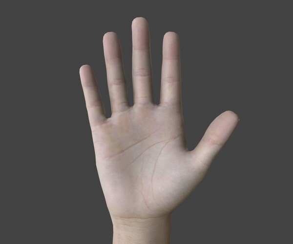ArtStation - HAND.006 Rigged Hand | Game Assets