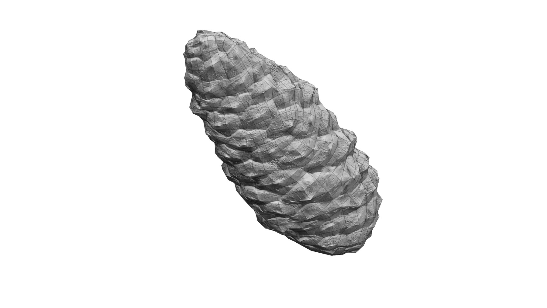 ArtStation - Pine Cone - Real-Time 3D Scanned | Resources