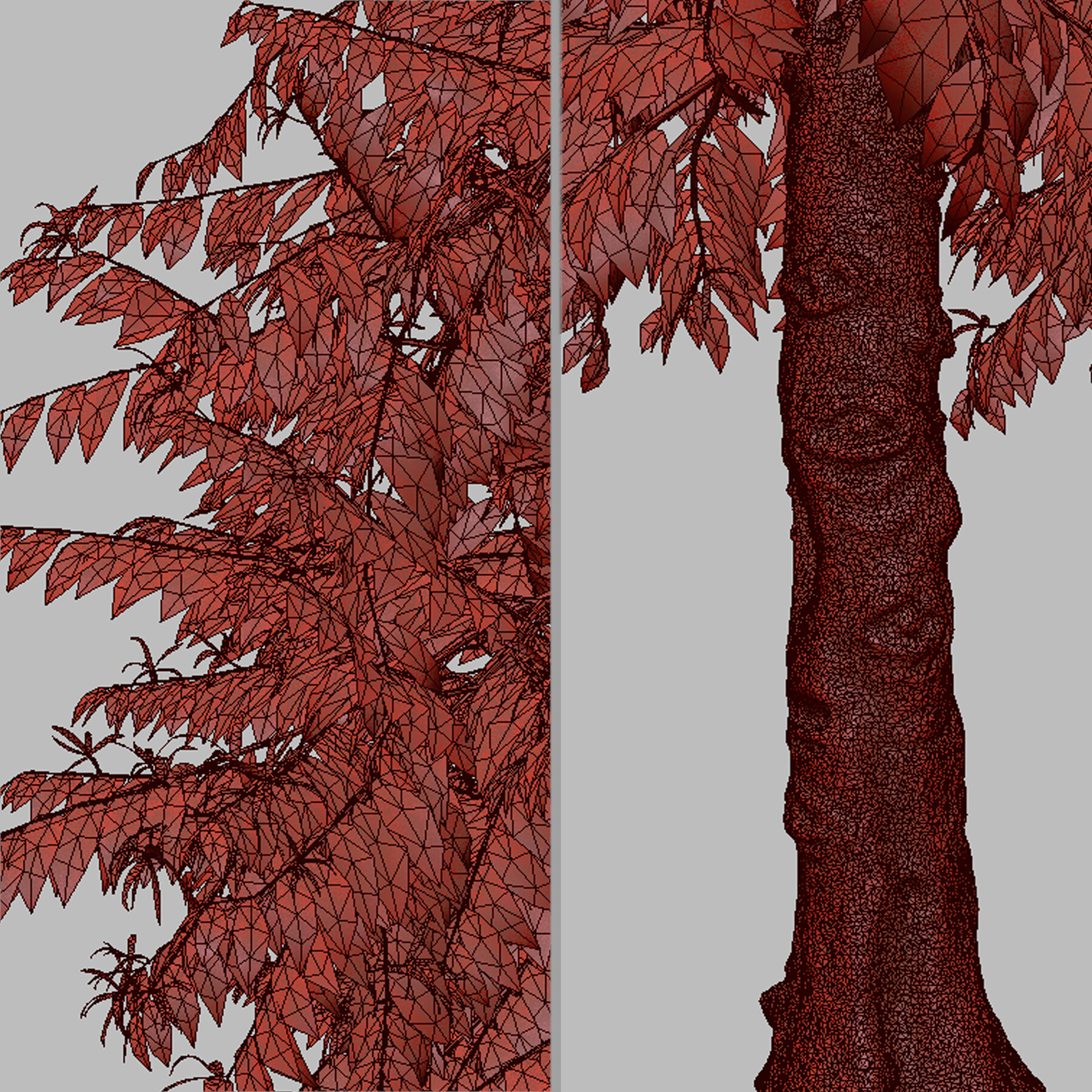 ArtStation - Set of Cananga odorata Tree (Ylang ylang) (2 Trees ...