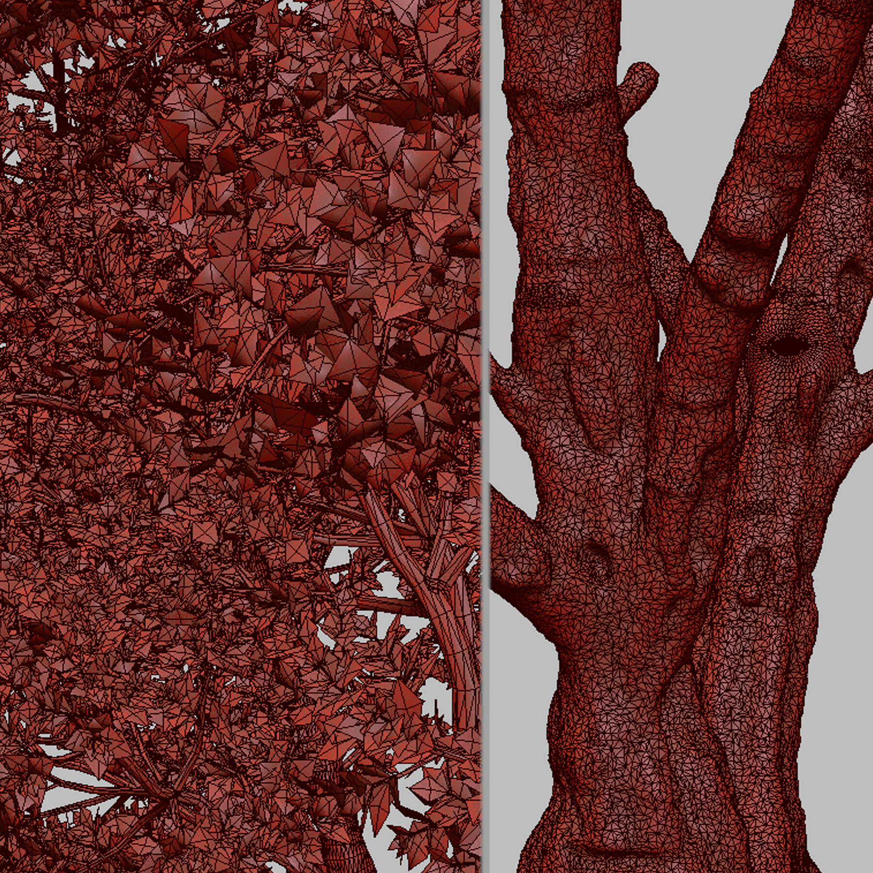 ArtStation - Set of Tanbark Oak Tree (Lithocarpus densiflorus) (2 Trees ...