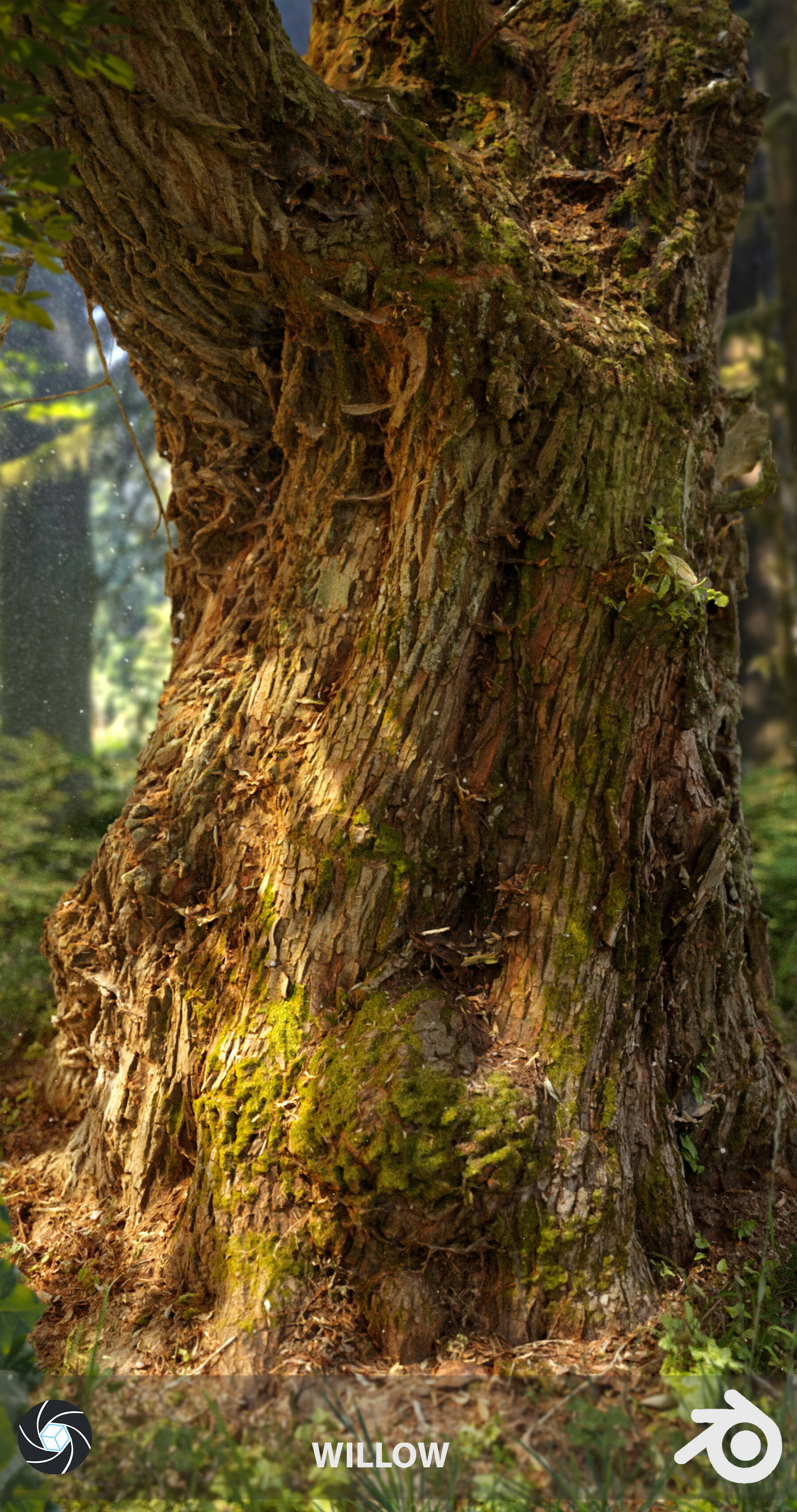 ArtStation - Willow_03(scan) | Game Assets