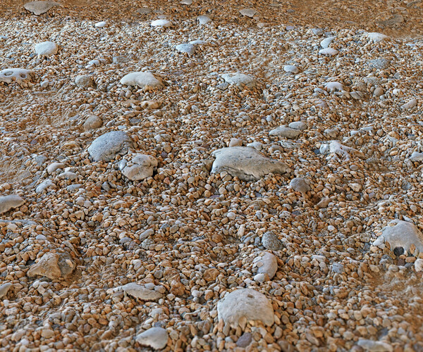 ArtStation - PBR - BEACH SAND 2, SHELLS, PEBBLES, ROCKS - 4K MATERIAL ...