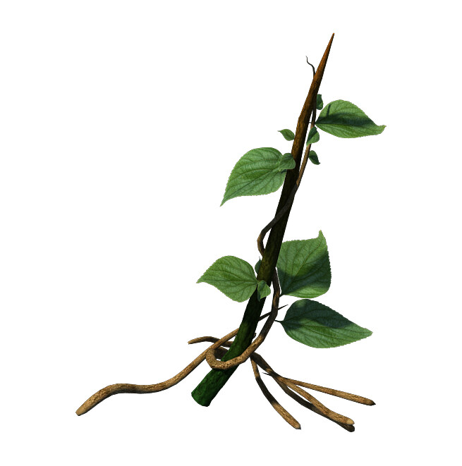 ArtStation - Big Trees - Vines 02 | Game Assets