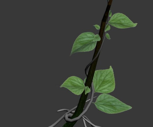 ArtStation - Big Trees - Vines 02 | Game Assets