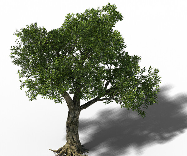 ArtStation - Windland Prairie - Big Tree 01 | Game Assets