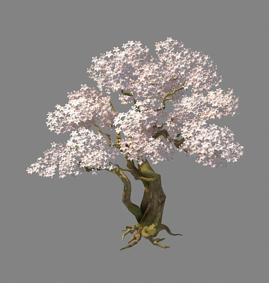 ArtStation - Birch 62 | Game Assets
