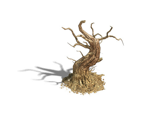 ArtStation - Barracks - desert Dead tree 05 | Game Assets