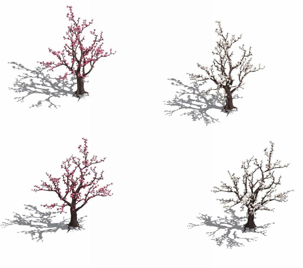 ArtStation - Daughter village - plum tree | Game Assets