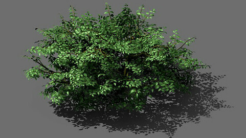 ArtStation - Game Model - Forest - Shrubs 01 | Game Assets