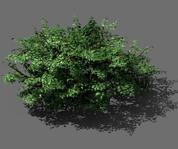 ArtStation - Game Model - Forest - Shrubs 01 | Game Assets