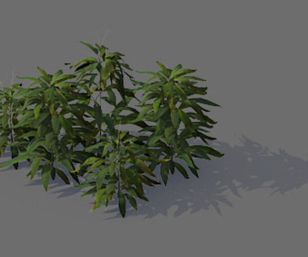 ArtStation - Game Model - Forest - Shrubs 04 | Game Assets