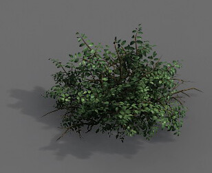 ArtStation - Game Models - Forest - Shrubs 07 | Game Assets