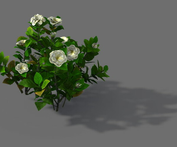 ArtStation - Game Model - Forest - Shrub 09 | Game Assets