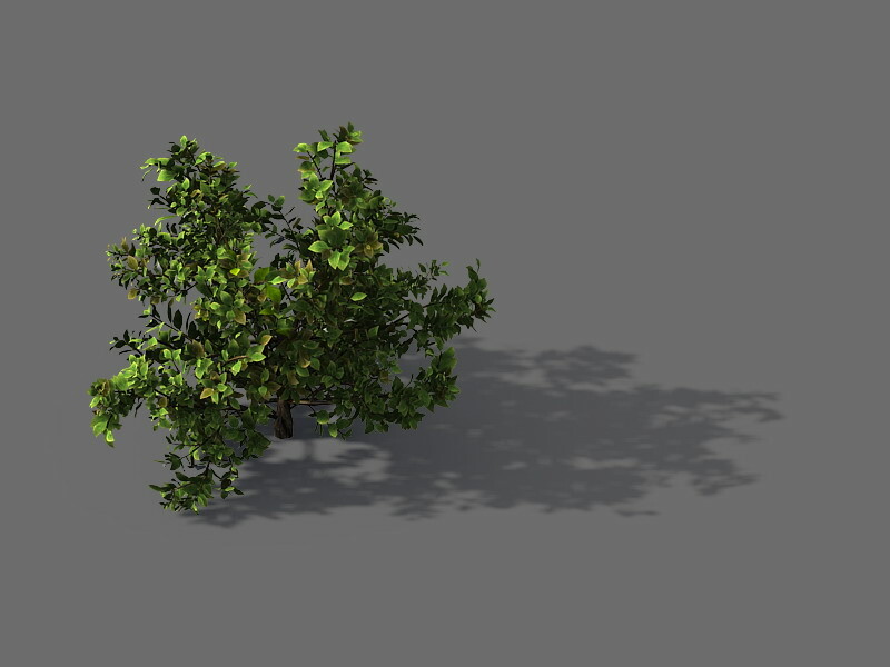 ArtStation - Game Model - Forest - Shrub 13 | Game Assets