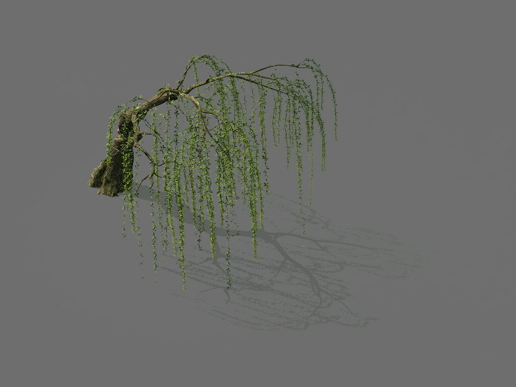 ArtStation - Game Model - Forest - Willow 01 | Game Assets