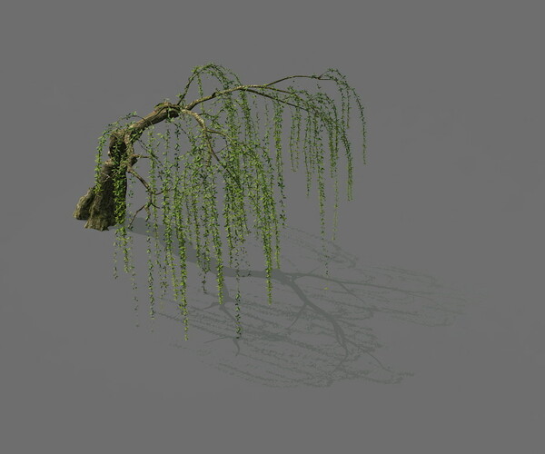 ArtStation - Game Model - Forest - Willow 01 | Game Assets