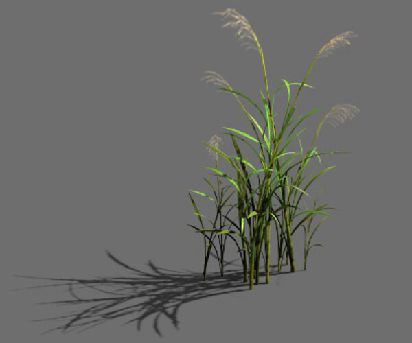 ArtStation - Game Model - Forest - Grass | Game Assets