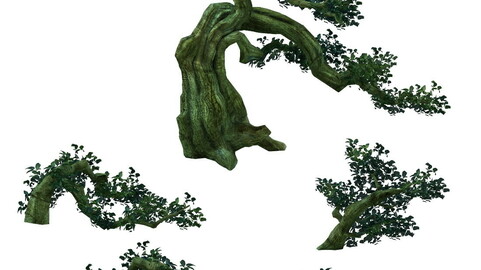 ArtStation - Game Model - Forest - Tree | Game Assets