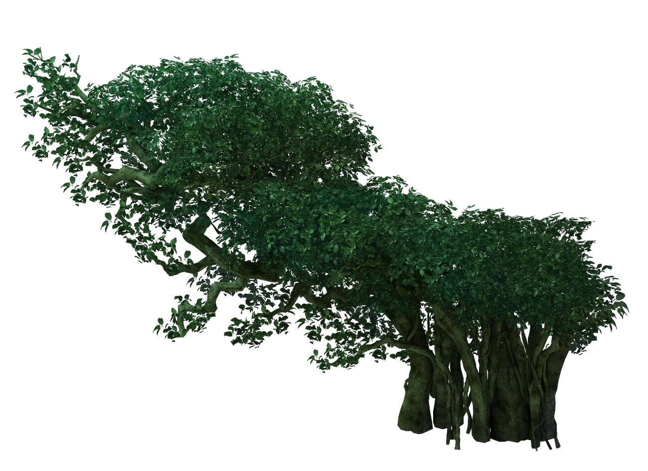 ArtStation - Game Model - Forest - Tree 05 | Game Assets