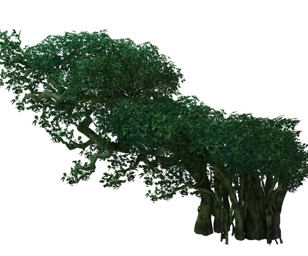 ArtStation - Game Model - Forest - Tree 05 | Game Assets