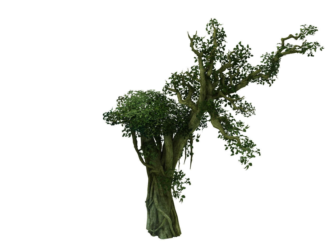 ArtStation - Game Model - Forest - Tree 14 | Game Assets