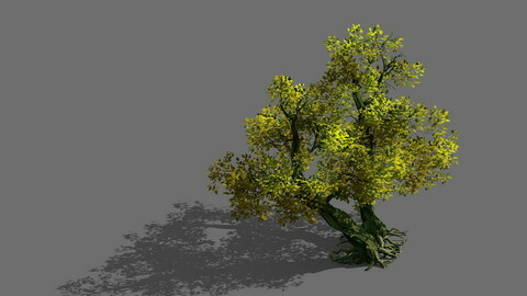 ArtStation - Game Model - Forest - Tree 20 | Game Assets
