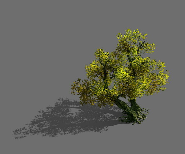 ArtStation - Game Model - Forest - Tree 20 | Game Assets