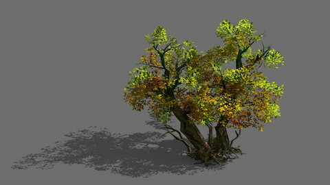 ArtStation - Game Model - Forest - Tree 21 | Game Assets