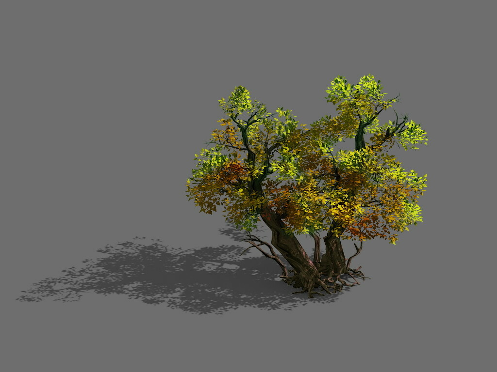 ArtStation - Game Model - Forest - Tree 21 | Game Assets