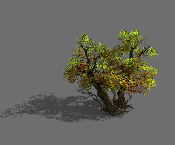 ArtStation - Game Model - Forest - Tree 21 | Game Assets