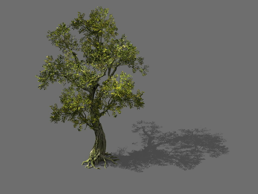 ArtStation - Game Model - Forest - Tree 01 | Game Assets