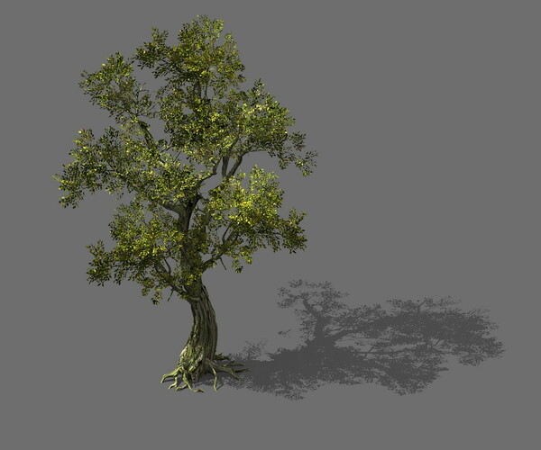 ArtStation - Game Model - Forest - Tree 01 | Game Assets