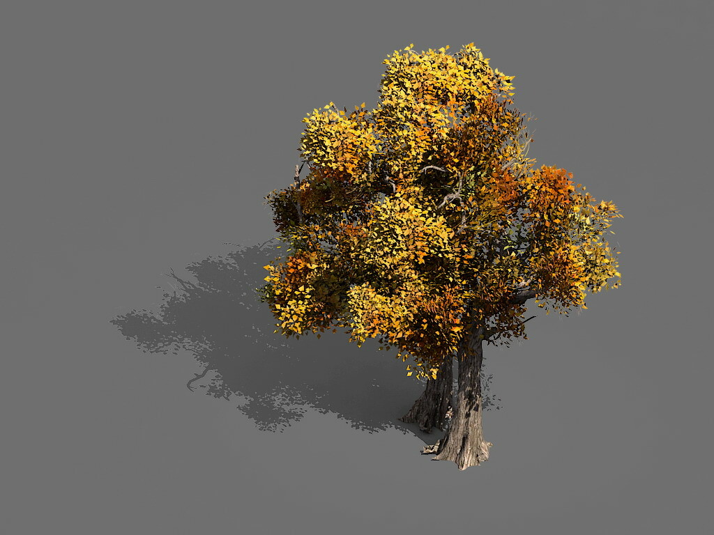 ArtStation - Game Models - Forest - Trees 08 | Game Assets