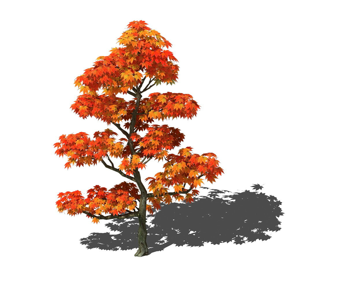 ArtStation - Game Models - Forest Trees - Maple Leaf | Game Assets