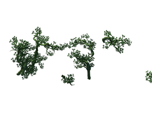 ArtStation - Game Model - Forest Model - Forest - Tree - Stone | Game ...