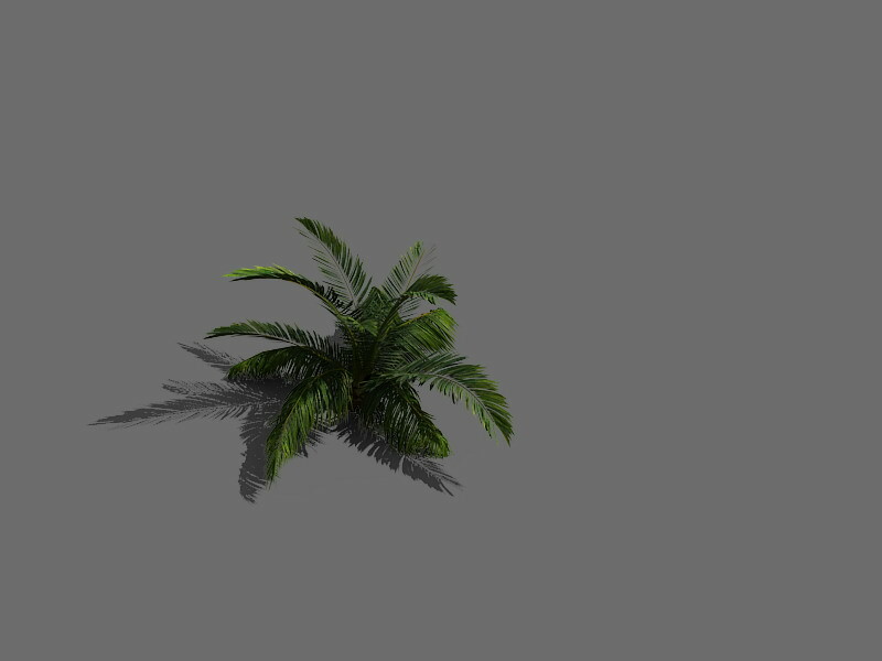 ArtStation - Game Model - Forest - Coconut Tree 01 | Game Assets