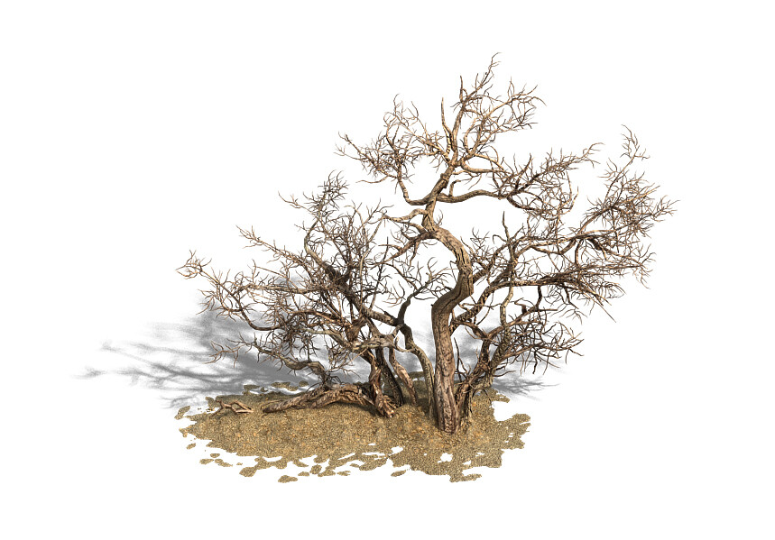 ArtStation - Desert Barracks - Dead Tree 04 | Game Assets